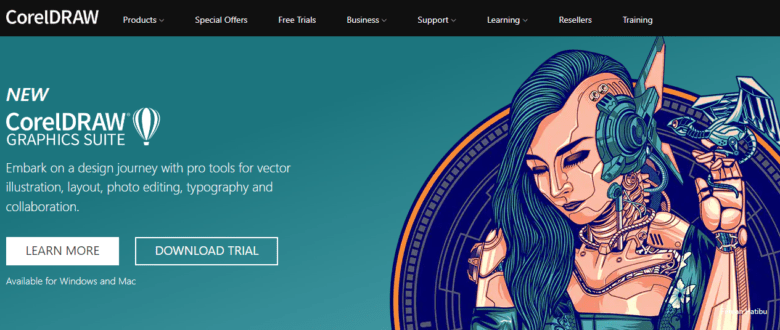 The Best Graphic Design Software For Beginners To Teach Online ...